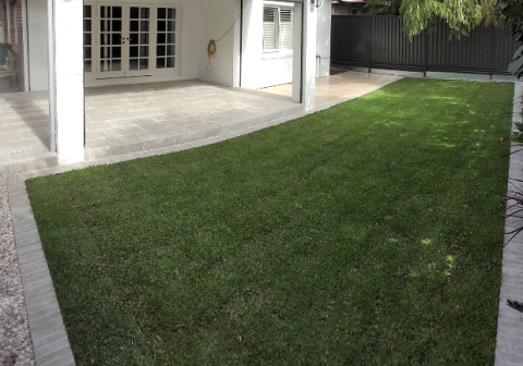 10 Lawn Grass Types in Australia | Perth Landscaping Experts