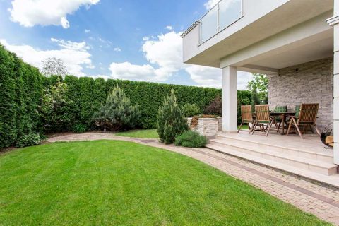 10 Lawn Grass Types in Australia | Perth Landscaping Experts